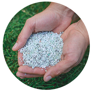 Why Weed Man? | Weed Man Lawn Care Franchise